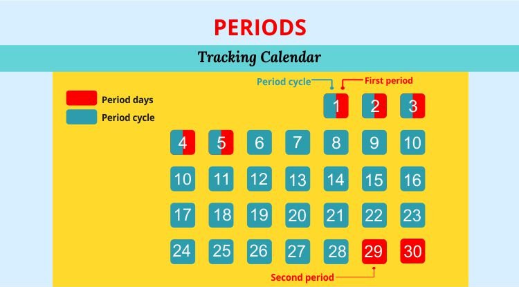 Menstruation: A Beginner's Guide to Periods TeenBook